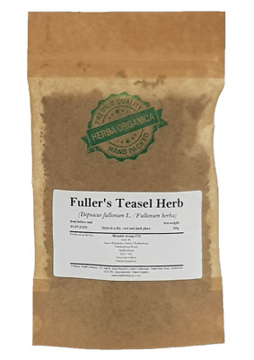 Fuller's teasel Herb - Dipsacus Fullonum L # Herba Organica # teasel ...