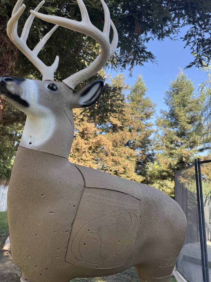 3D Buck Target | eBay