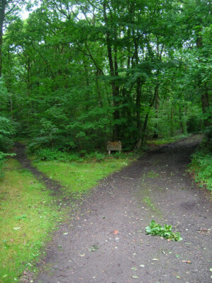 Photo 6x4 Mincing Wood Blean Part of the Blean Woods complex to the ...