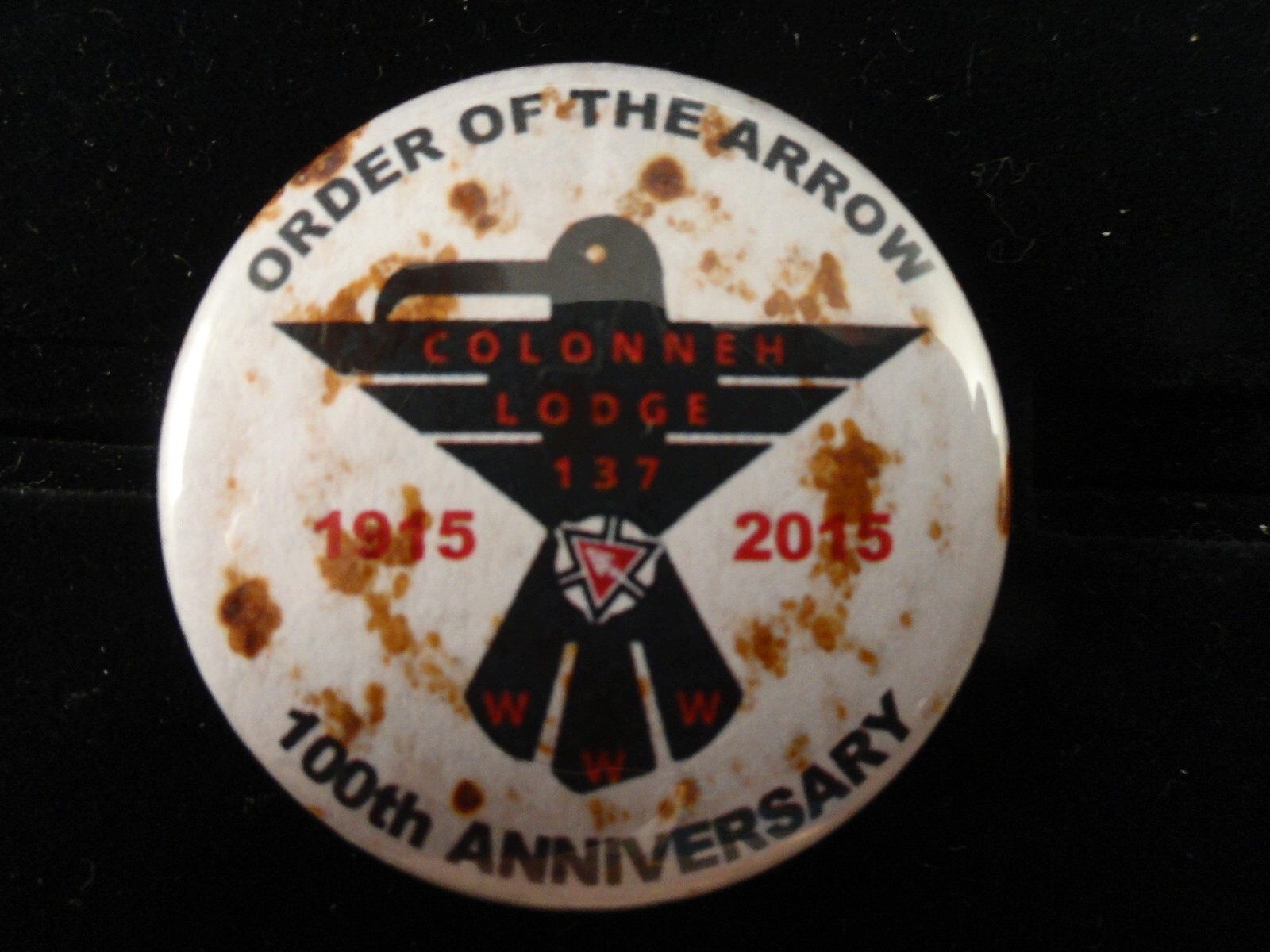 Vintage Rare Colonneh OA Lodge 137 100th Anniversary Pin Order of the ...