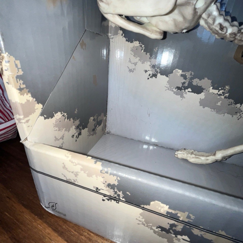 Crazy Bonez Kitty Bonez Cat Skeleton Halloween Decoration – Original Box | eBay