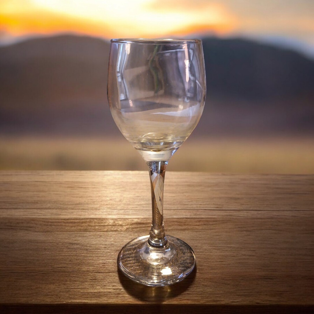 Mini Wine Tasting Glass