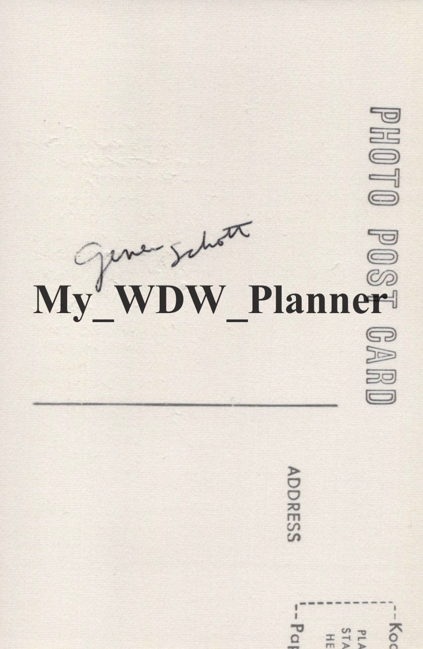 Vintage Photo 36 - Cincinnati Reds - Gene Schott | eBay