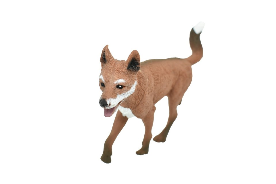 Dingo, Plastic Toy, Kids, Realistic Figure, Model, Figurine F4342 B219 ...