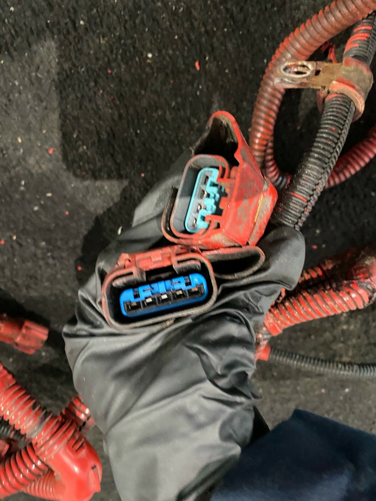 OEM Cummins ISX15 Engine Wiring Harness, 3688775, 4373989, 5339312 ...