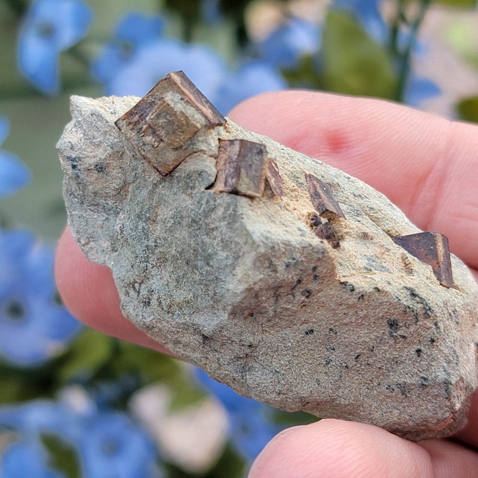 Limonite after Pyrite Cubes on Matrix Pseudomorph Mineral Specimen, 25 ...