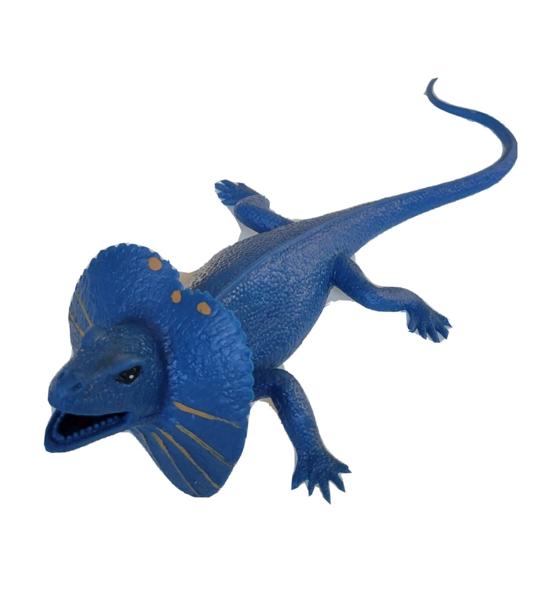 Blue Frilled Lizards
