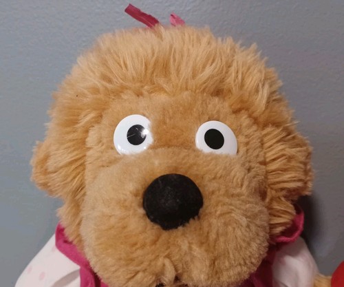 Berenstein Bears Plush Lot Sister And Brother Bear 14” Vintage | eBay