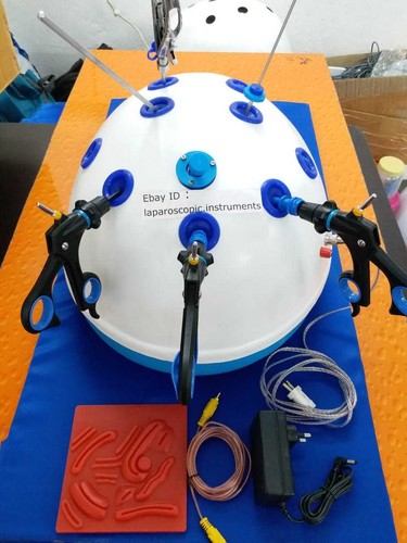 Full Set Laparoscopic Simulator Oval Shape Endo trainer With 6 Basic ...