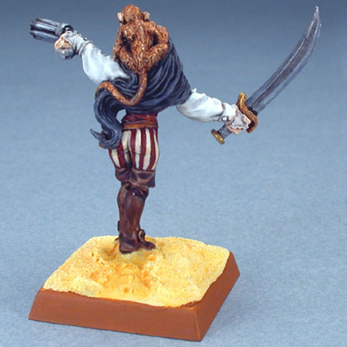 Reaper Dark Heaven Legends 03128 Sela Windsprite Elf Pirate Female ...