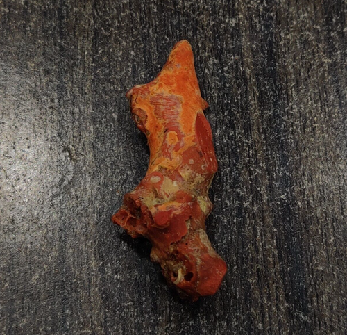 Beautiful Red Coral Loose Unpolished Rough Raw-Natural Red Coral ...