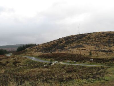 Photo 6x4 Sheep on the road Aonach Bu00e0n Sheep straying along the ...