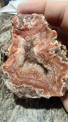 Rare! Montana dryhead agate geode Amazing fortifications collectors ...