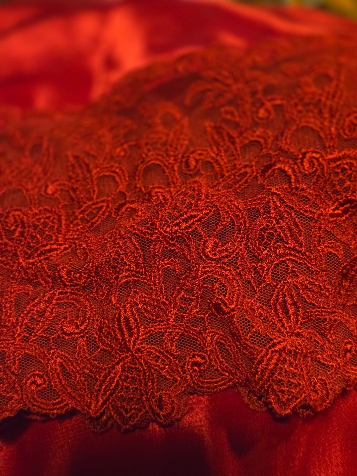 Vintage Cabernet Red Silky Polyester Half Slip Heavy Lace Trim | eBay