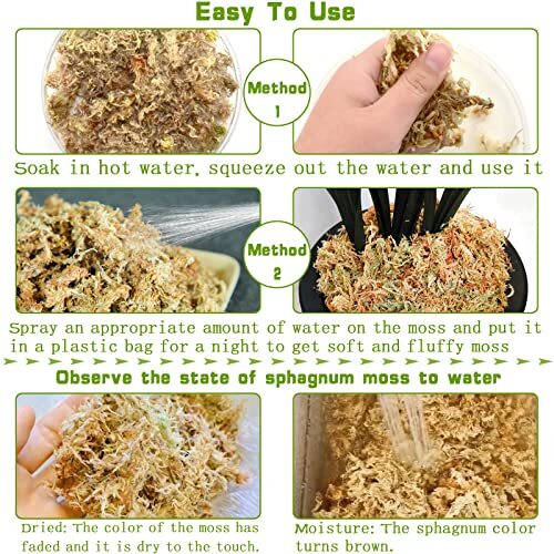 6oz Premium Sphagnum Moss Potting Mix Natural Succulent Carnivorous ...