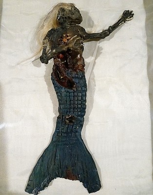 OOAK Mummified Infant Mermaid | Cryptid Specimen | Oddities ...
