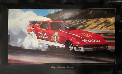 VRHTF SUPER COOL KENNY YOUNGBLOOD-TOM MCEWEN COORS CORVETTE 22" X 36 ...