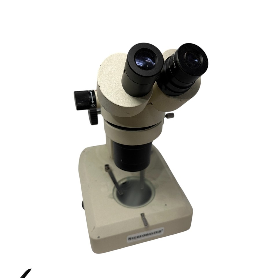 Fisher Scientific Stereomaster Stereo Microscope 10x WF Eyepieces Dual ...