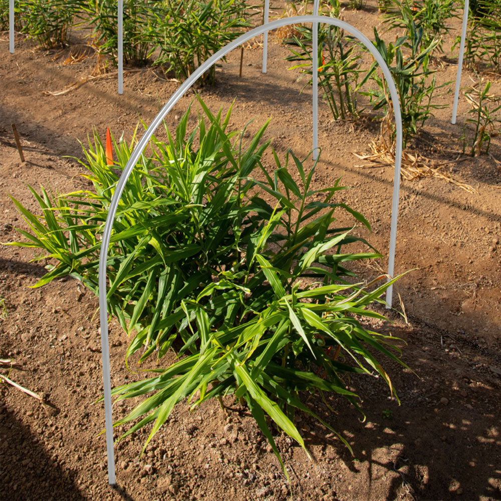 Galvanized Hoop Greenhouse Vevor Walk In Tunnel Greenhouse, 20 X 10 X