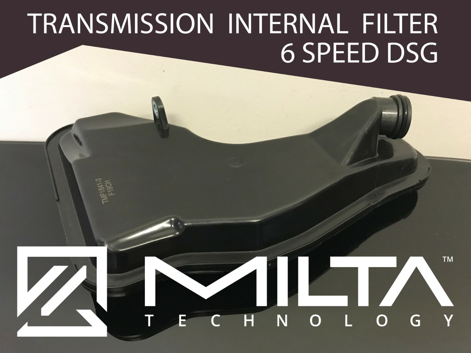 6 Speed DSG Internal Filter / 02E / 0D9 / Audi, Skoda, Seat, VW | eBay UK