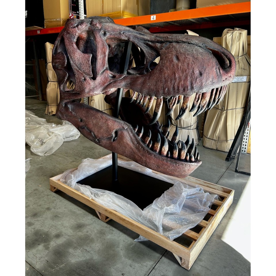 Jumbo T-Rex Skull On Base Life Size Resin Statue Jurassic Theme Prop ...