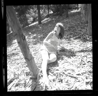 1967 Diane Sayer Movie Actress Model Harry Langdon Negative w/rights ...