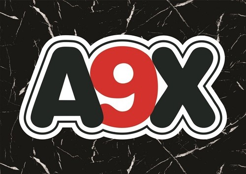 HOLDEN TORANA SLR 5000 A9X STICKER DECAL | eBay