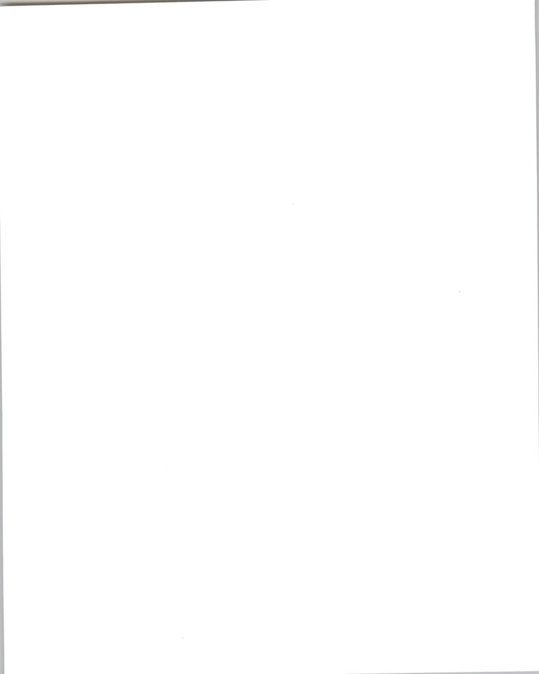 RARE Press Photo of Marah an American Rock'n'Roll Band Reprint | eBay