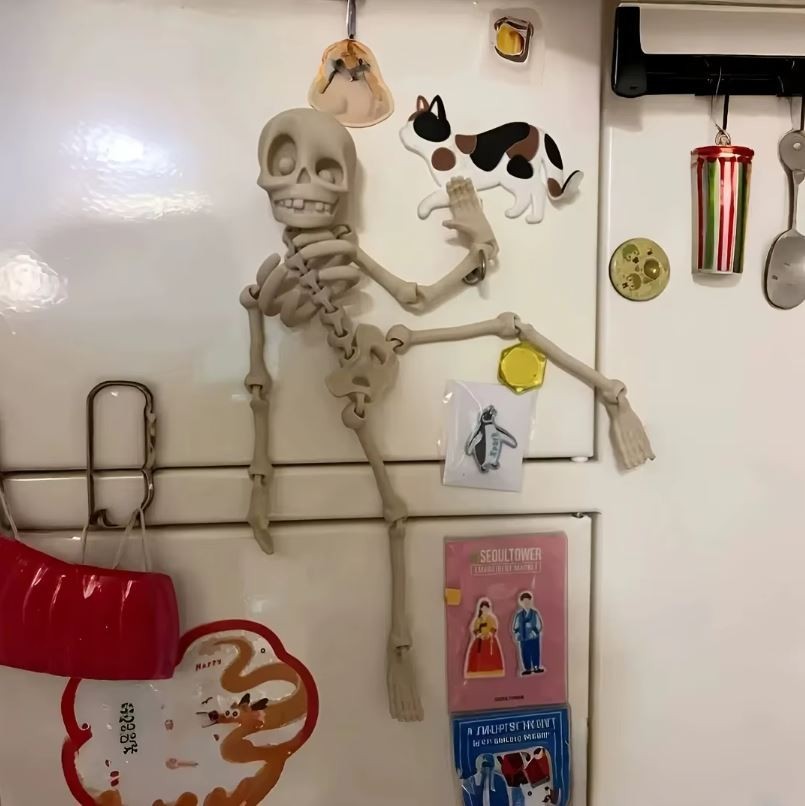 Magnetic Poseable Skull Fridge Magnet Funny Halloween Kitchen Gift ...