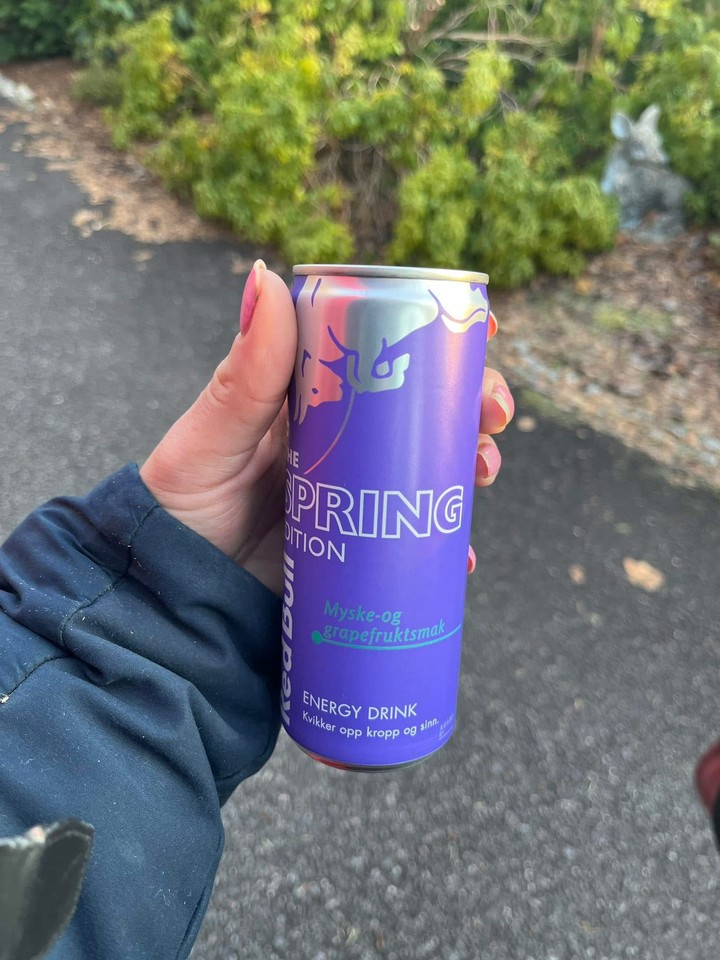 New! Red Bull Limited Spring Edition woodruff & pink grapefruit 🇳🇴 ...