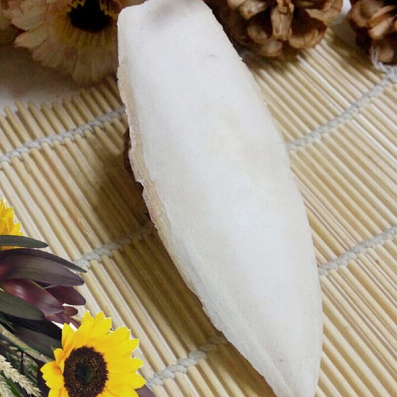 Cuttlebone Cuttlefish Sepia Bone Cuttle Fish Bird Food Calcium Pet NEW ...
