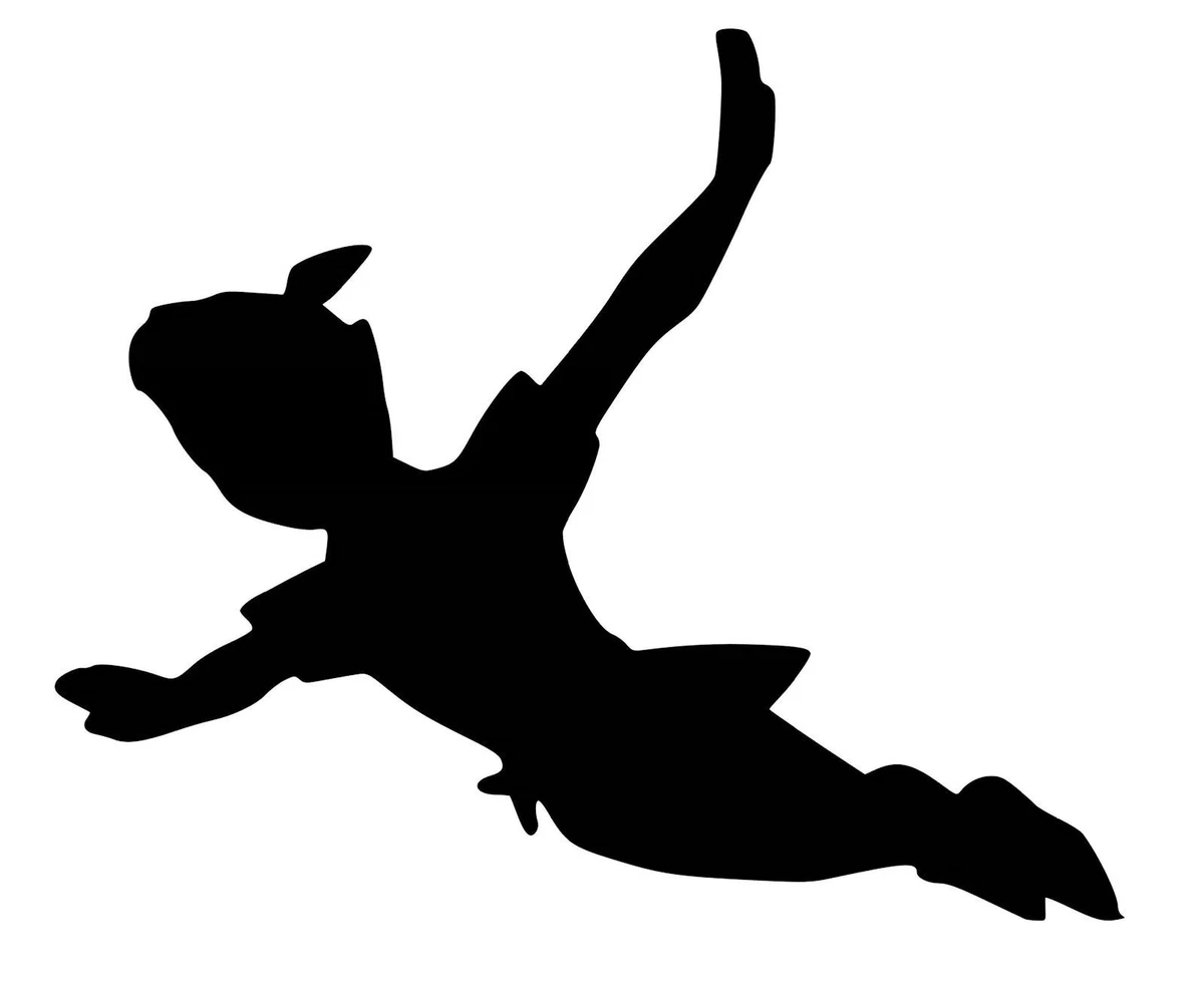 Peter Pan Flying Shadow Tattoo