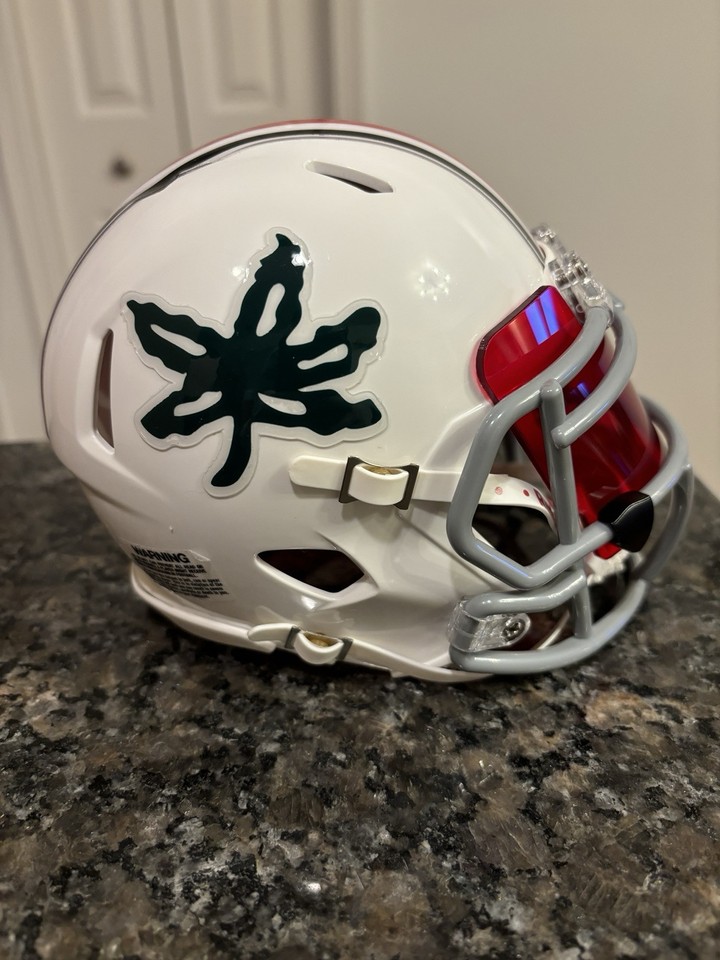 Ohio State Buckeyes Custom Mini Football Helmet White Green Leaf ...