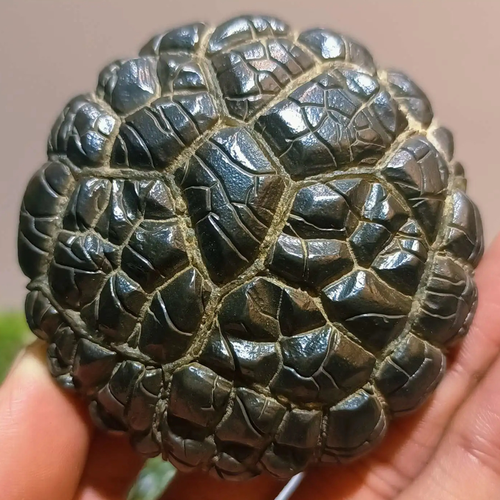 Natural Gobi Agate "Tortoise Back Pattern" Stone Moire Stone Collection ...