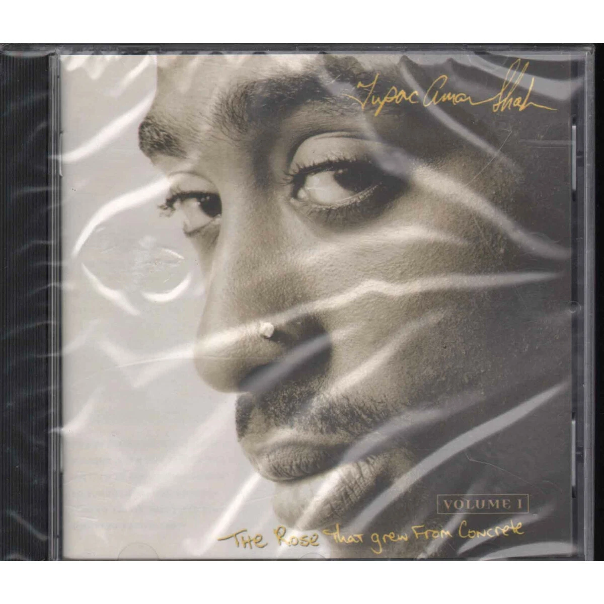 Tupac Shakur Poetry 2pac Poems The Rose That