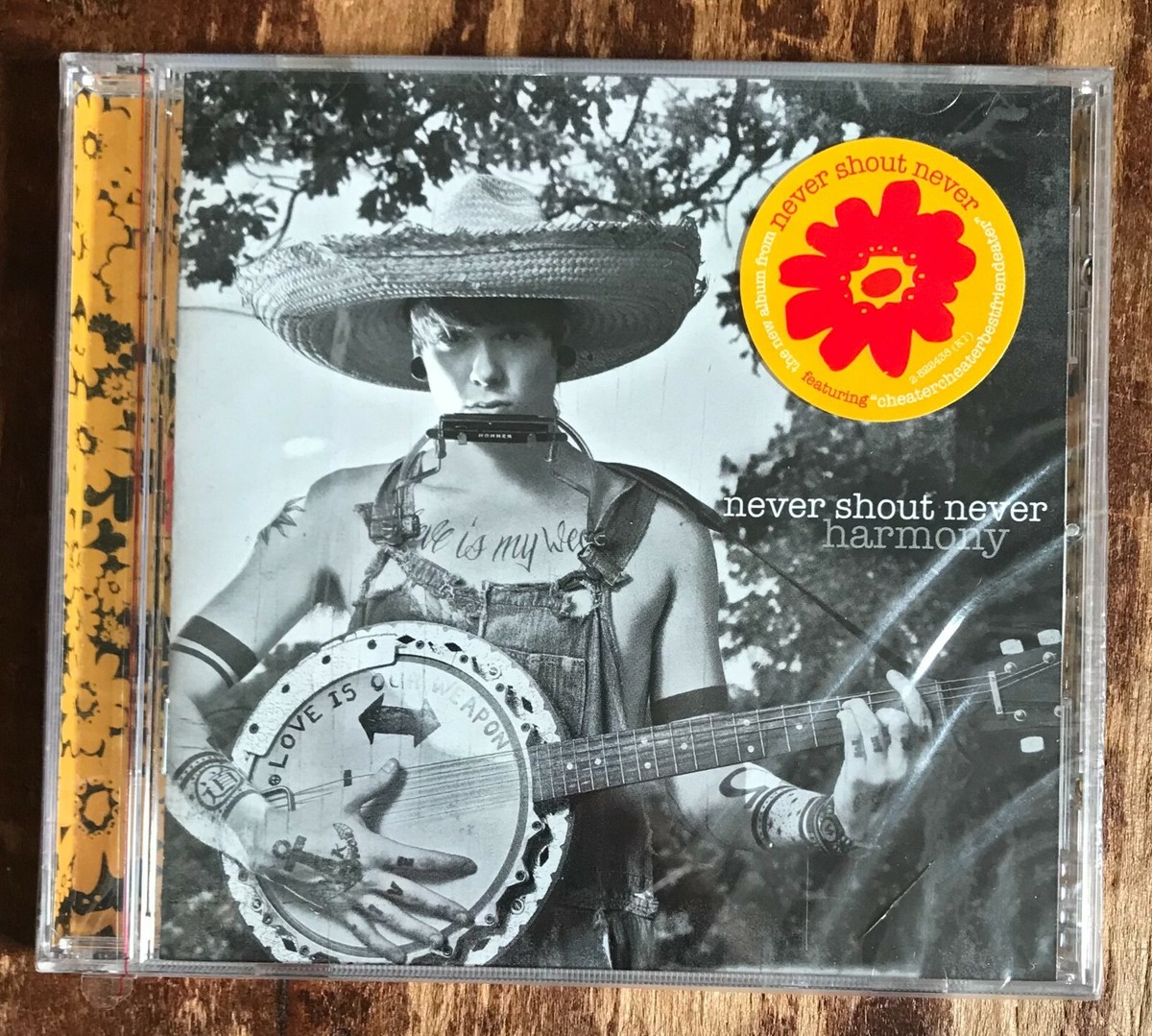 Never Shout Never Harmony