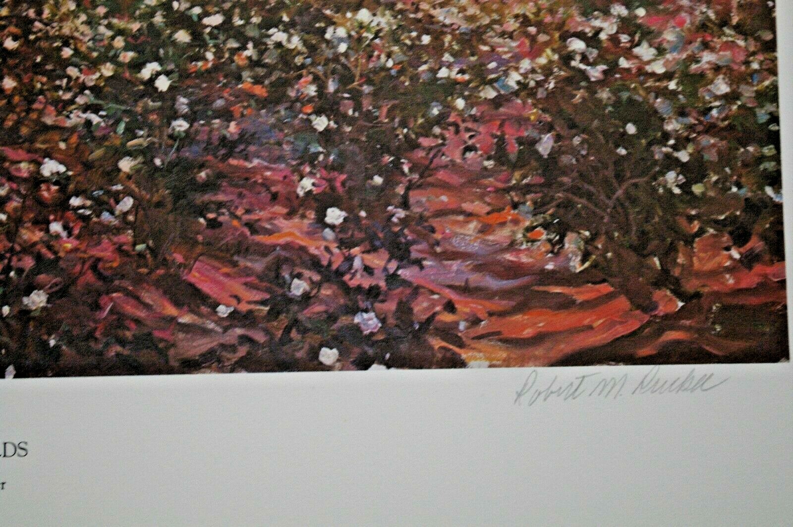 Robert Rucker "Cotton Fields" Signed & Numbered Print | eBay