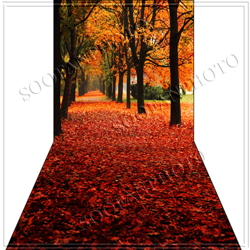 Autumn 10'x20'Computer/Digital Vinyl Scenic Photo Backdrop Background ...