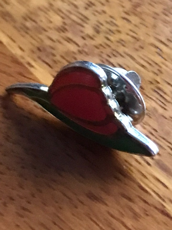 Vintage 90s Tulip Red & Green Enamel Gold-Tone (Silver Tone Back) Pin ...
