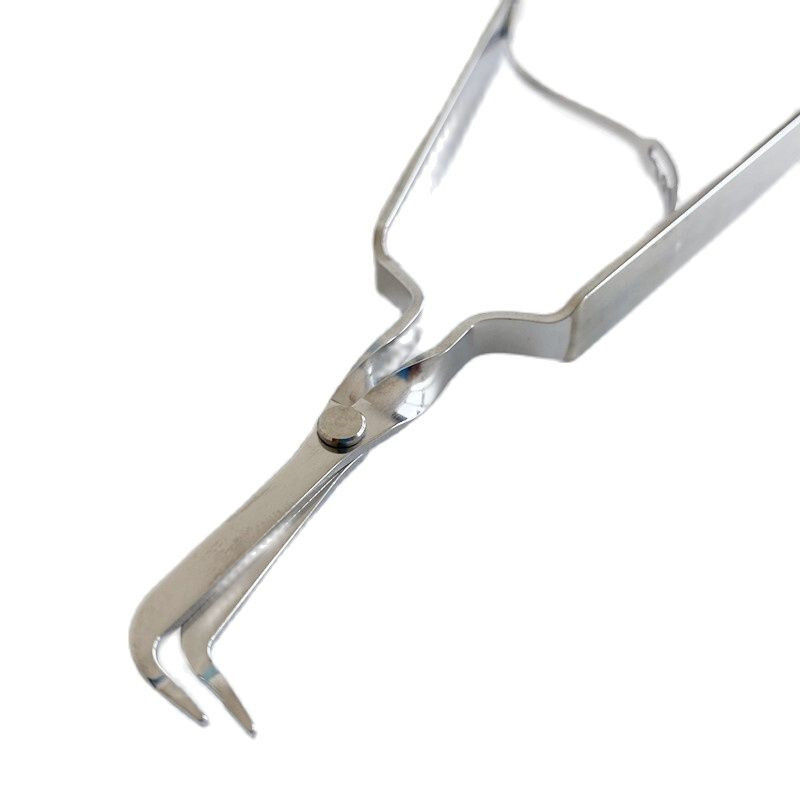 Dental Matrix Holder Clamp Matrices Placement Tweezer S.S Band Forceps ...