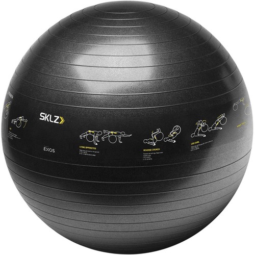 SKLZ Exercise Trainer Ball - Black | eBay