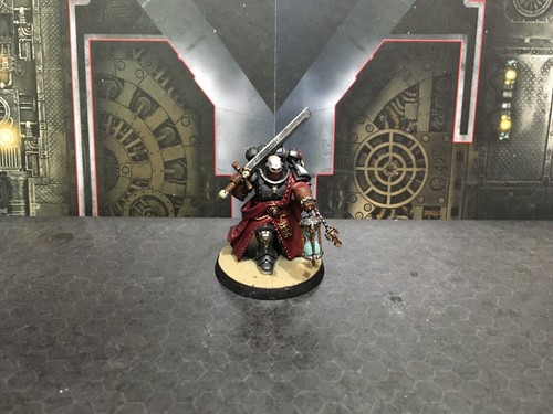 Primaris Judicar painted Indomitus Commission Warhammer 40k Space ...
