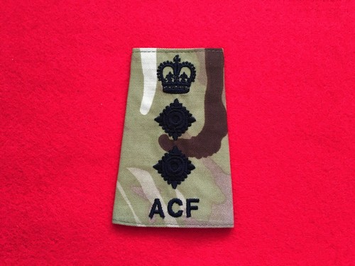 SALES ITEM Quality Multicam ACF Colonel Combat Rank Slide | eBay