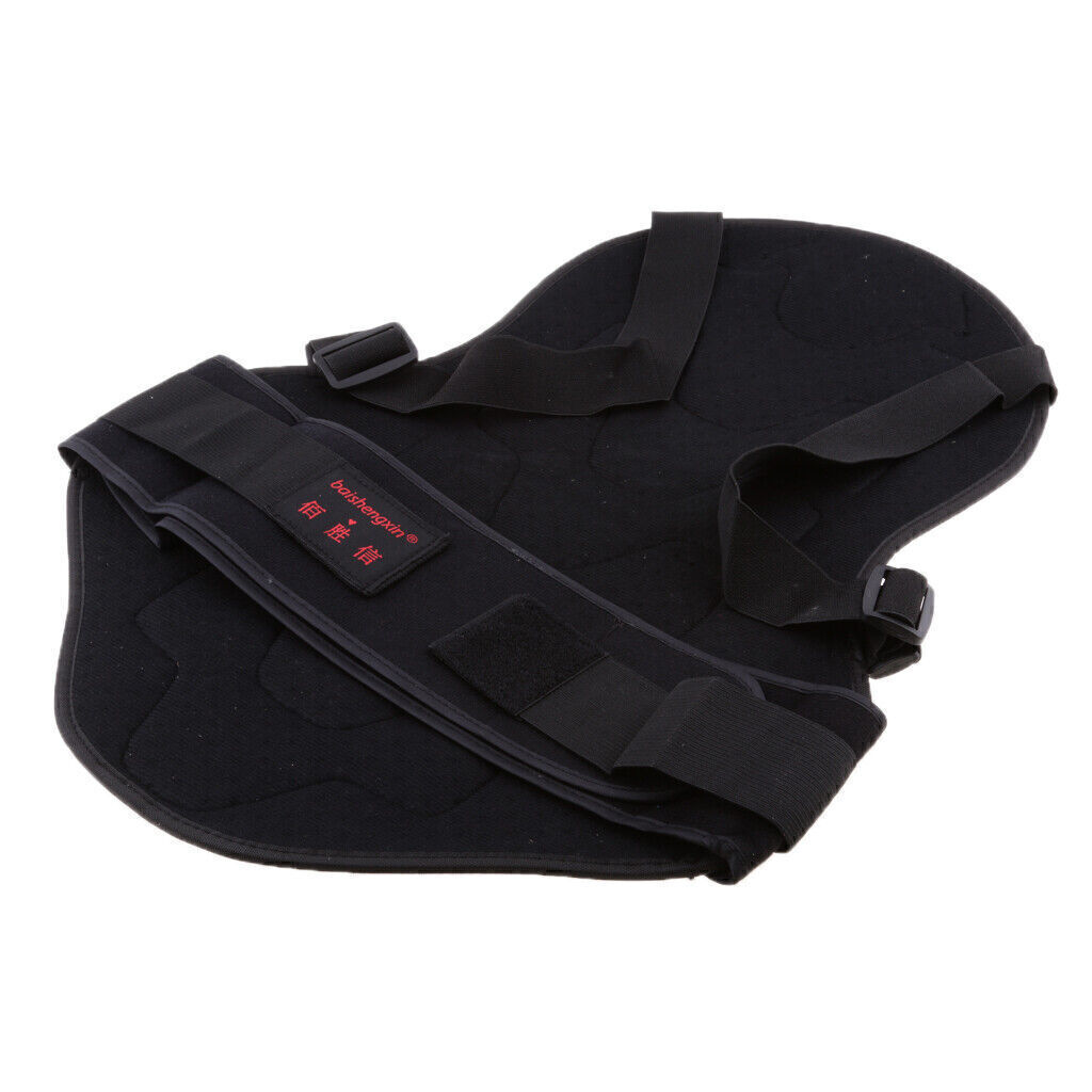 Premium back protector sports protection back protector for motorcycle ...