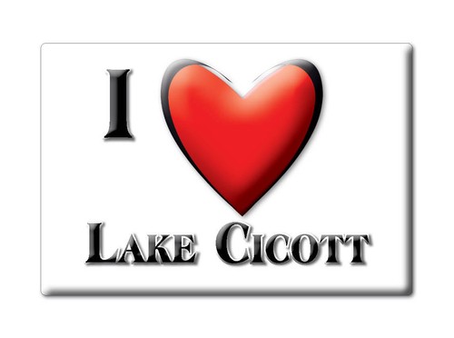 Lake Cicott, Cass County, Indiana - Fridge Magnet Souvenir USA | eBay