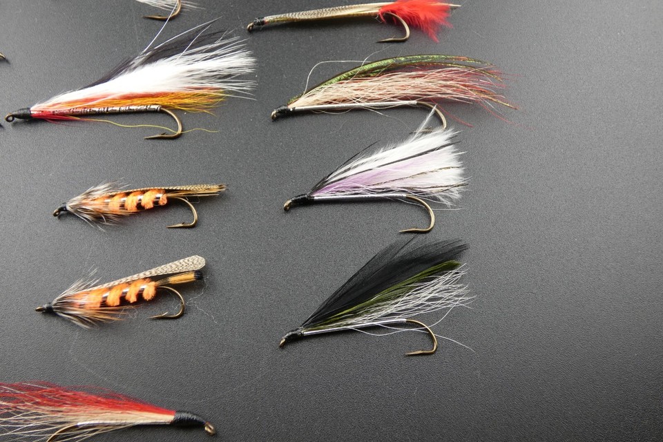 Streamer Flies for Brook Trout and Landlocked Salmon 24 Piece Assorted ...