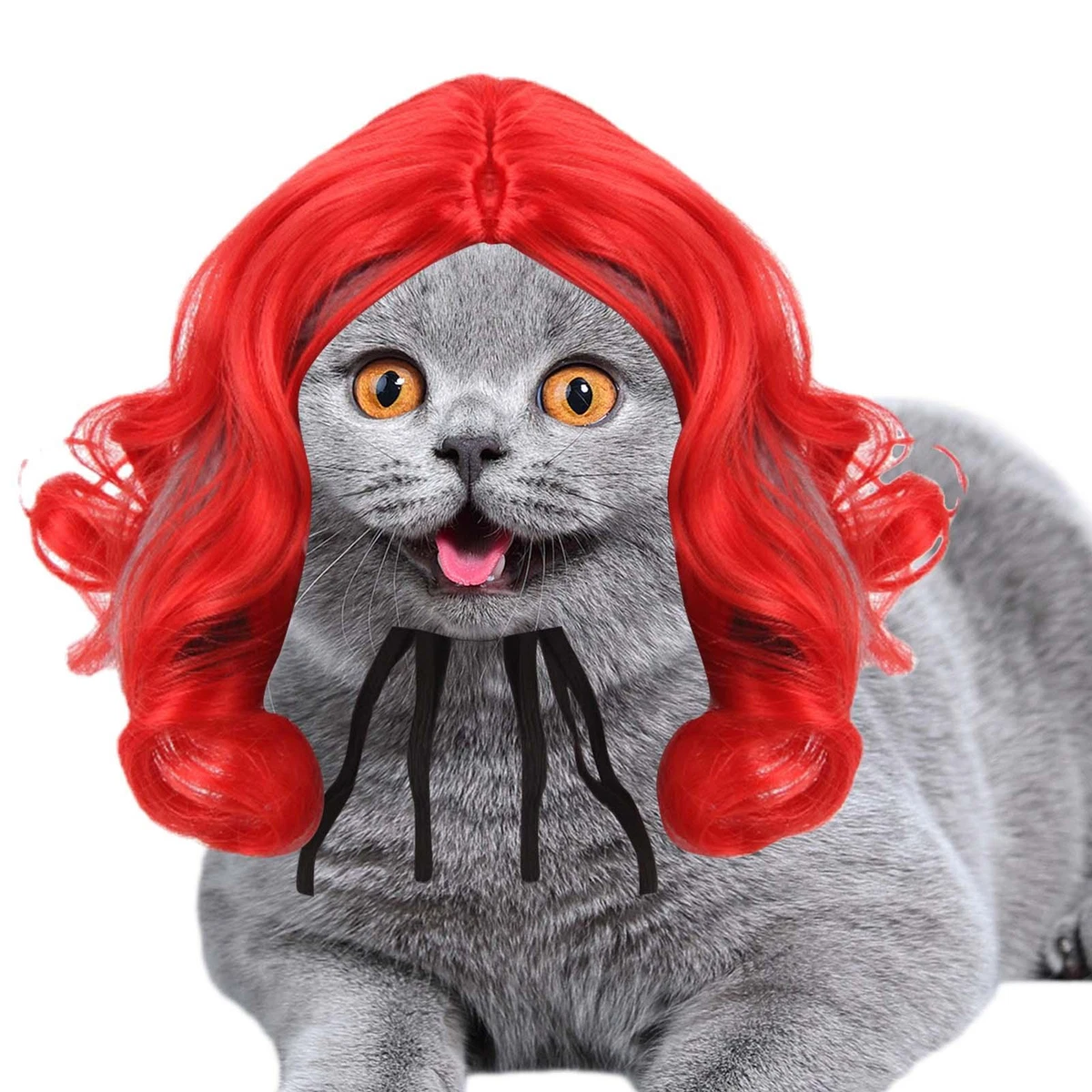 Cats In Red Wig