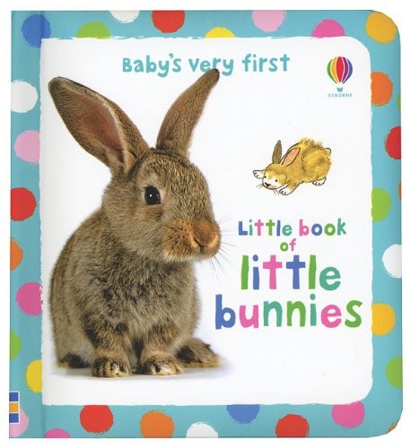 BABY'S VERY FIRST LITTLE BOOK OF LITTLE BUNNIES (BABY'S By Mary ...