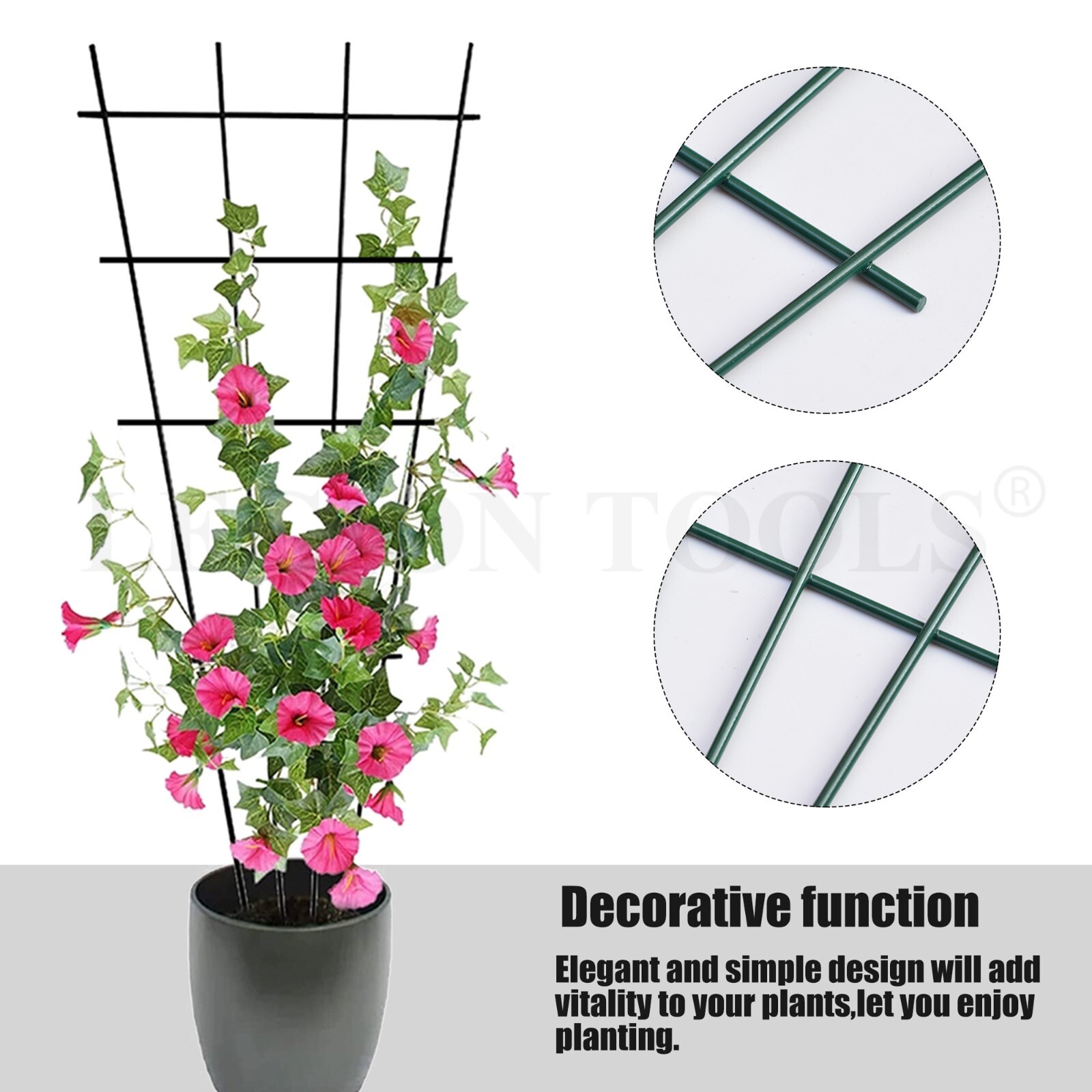 Fan Shape Plant Trainer 45/60cm Garden Trellis Cage Vege Climbing ...