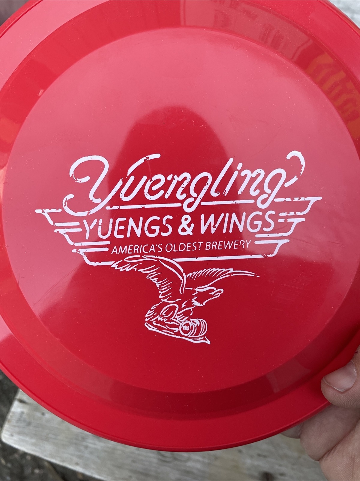 2 Yuengling Beer Frisbees Yuengs and Wings Plate Holder Picnic BBQ ...